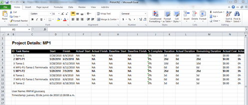 Exportar a Excel desde PWA 2007 ~ SURPOINT